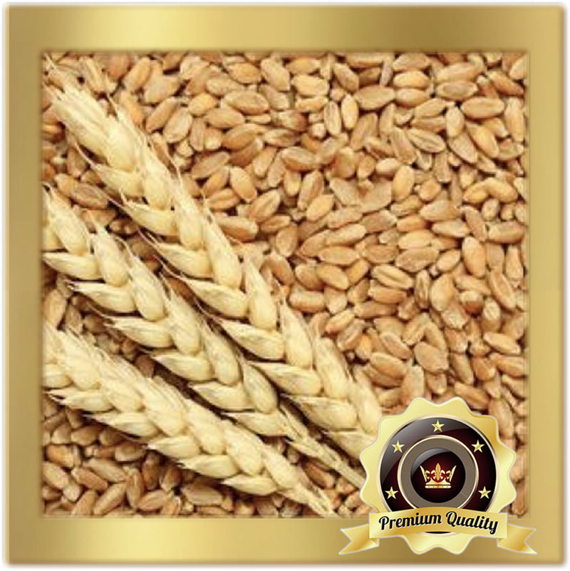 ORGANIC GRADE "A" WHEAT BRAN for Mealworms, Super Worms, Birds, Isopod ...