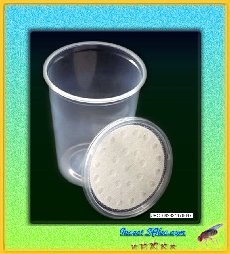 100 Pack - Fruit Fly Culture Cups with Vented Lids – Insect Sales.com