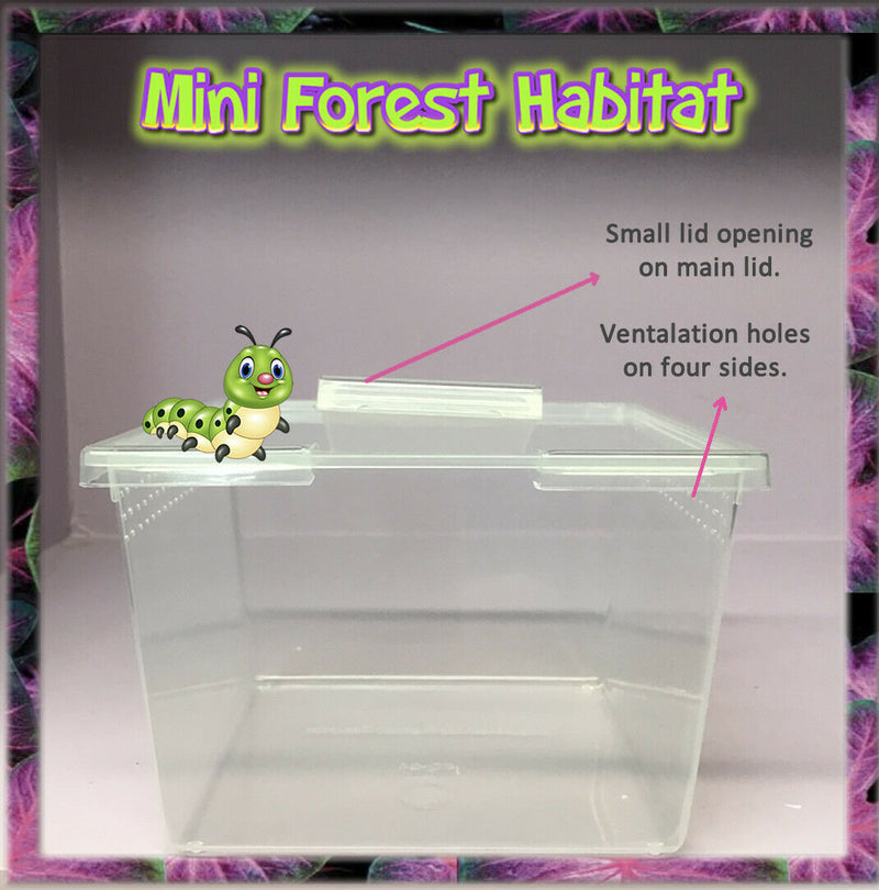 Mini-Forest Habitat With Aged Bark + Forest Floor Moss + Coconut Fiber ...