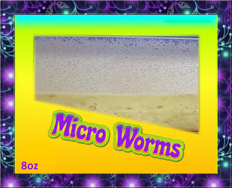 Micro Worm Producing Culture (Live 8 oz.)-1000's Of Worms In The Cultu ...